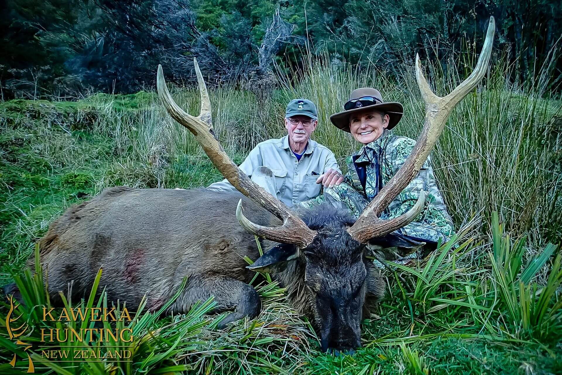 New Zealand Sambar Hunts | Preserve | Kaweka Hunting